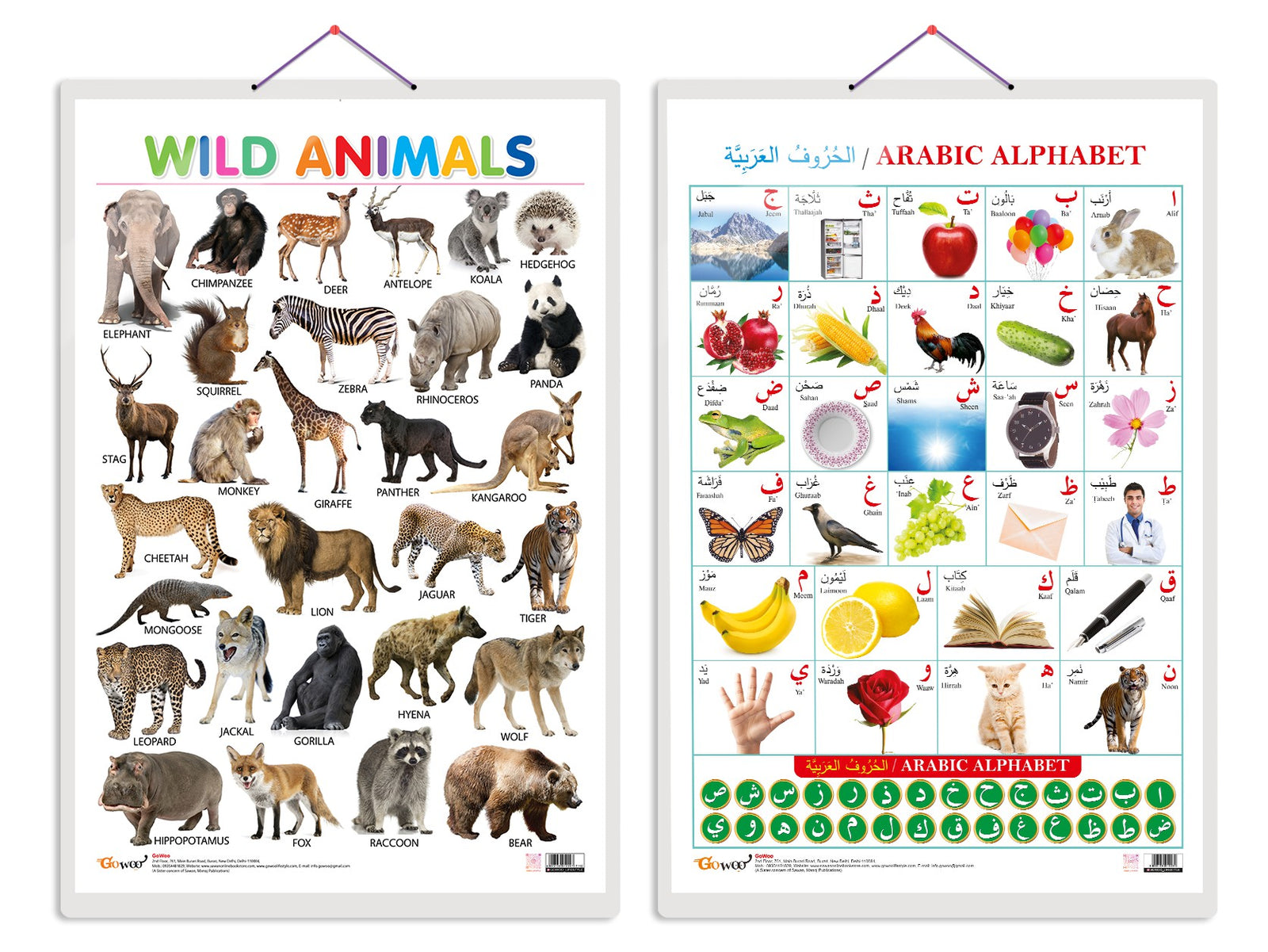 JoGenii|Set-of-2-Wild-Animals-and-Arabic-Alphabet?(Arabic)-Early ...