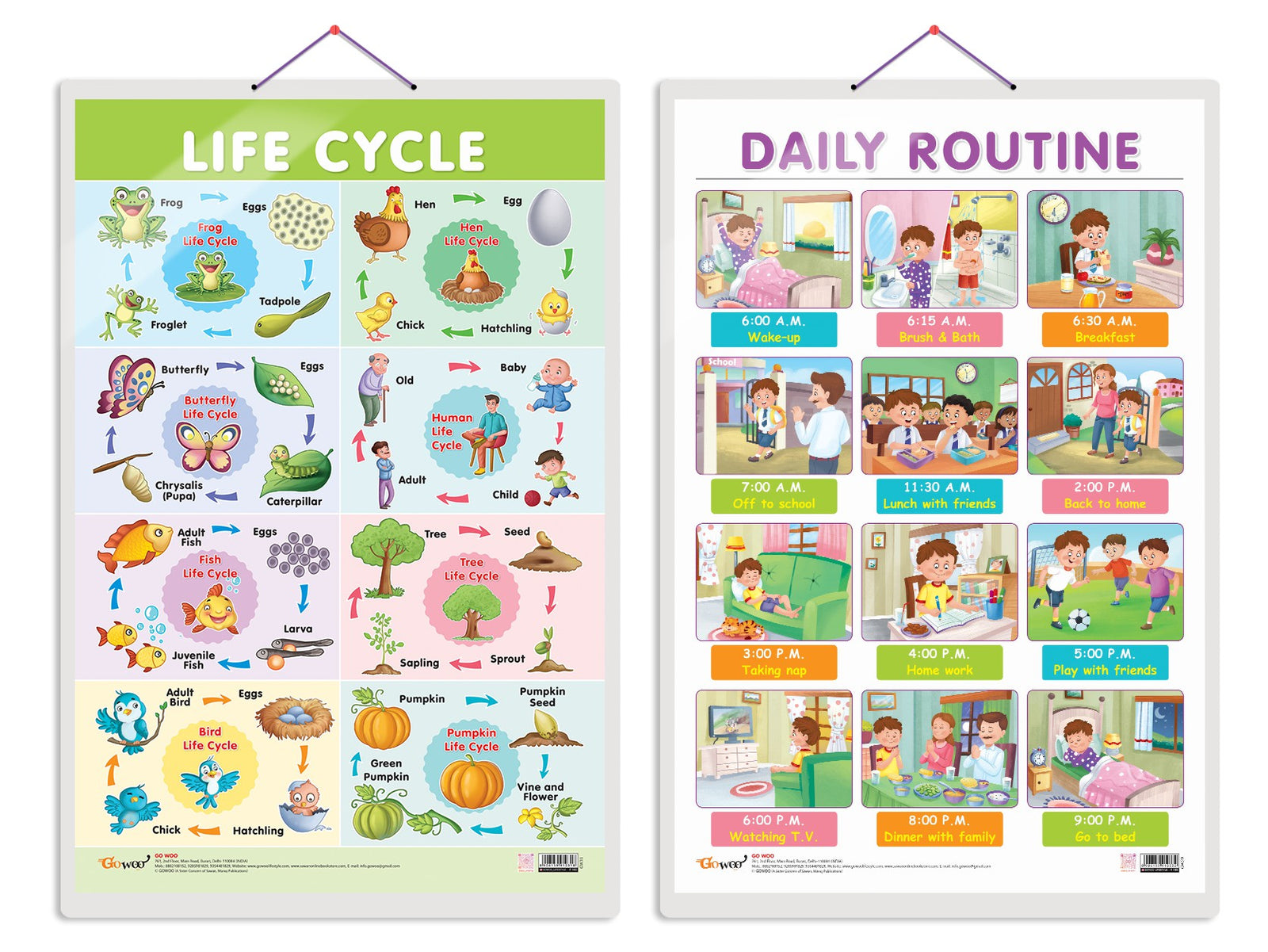 JoGenii|Set-of-2-Life-Cycle-and-DAILY-ROUTINE-Early-Learning ...