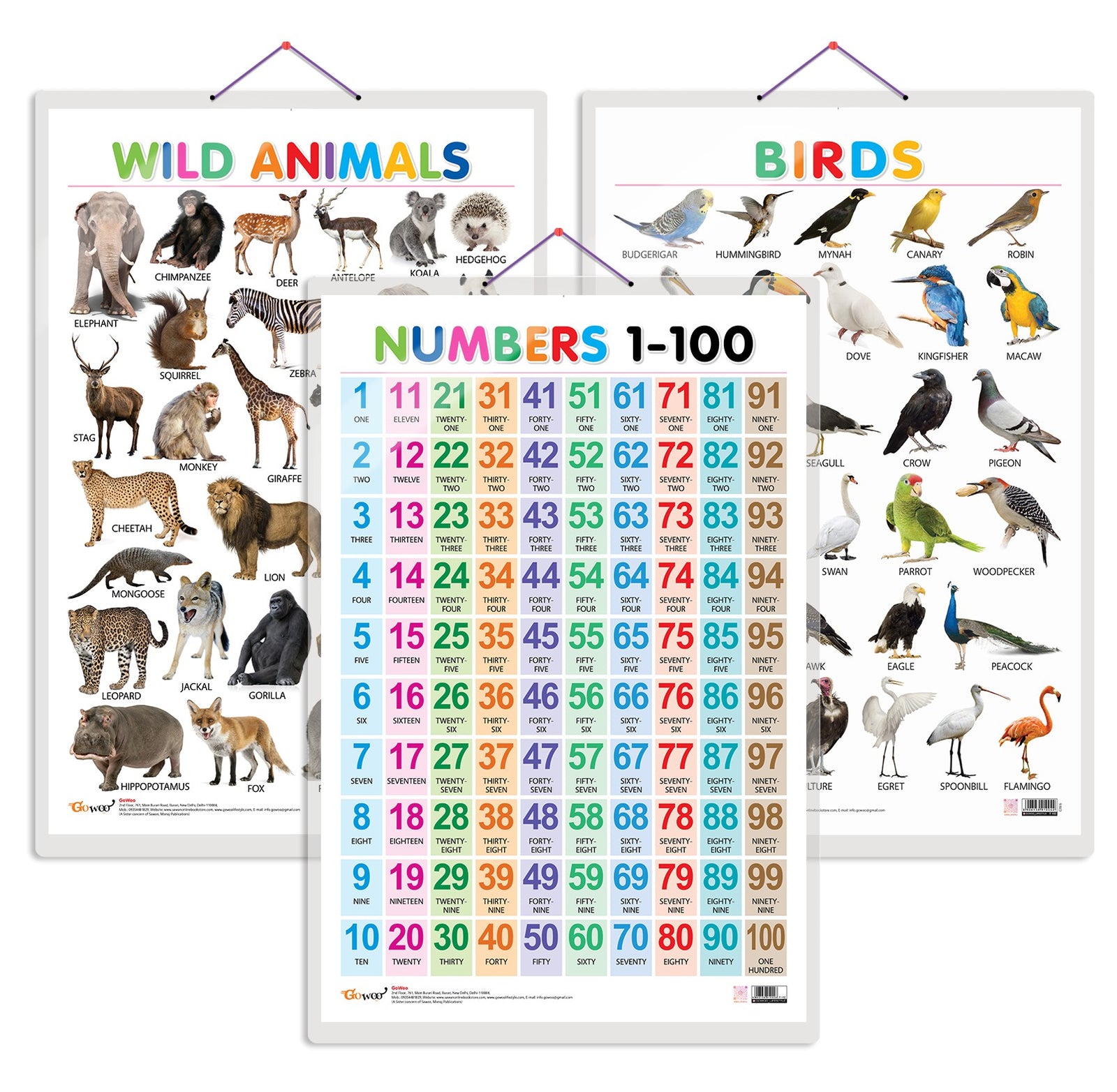 JoGenii|Set-of-3-Wild-Animals,-Birds-and-Numbers-1-100-Early-Learning ...