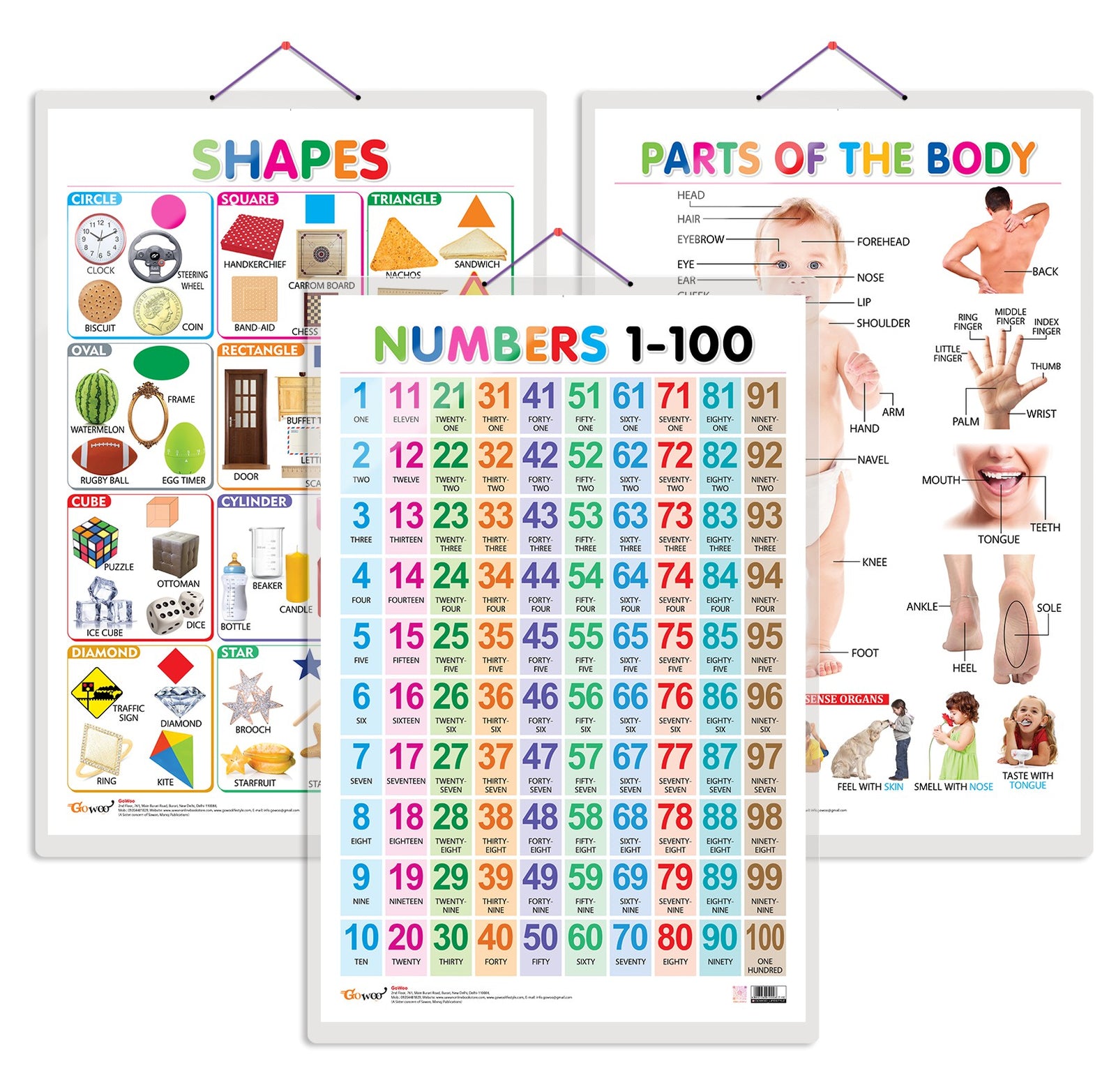 JoGenii|Set-of-3-Shapes,-Parts-of-the-Body-and-Numbers-1-100-Chart-for ...