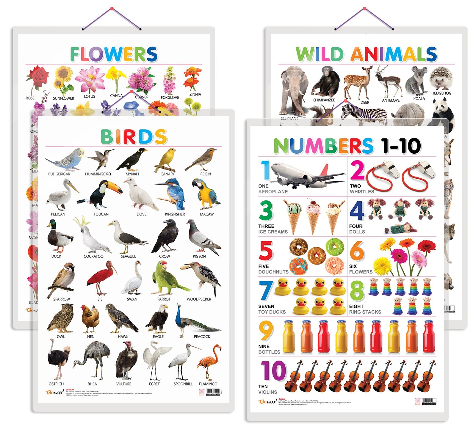 JoGenii|Set-of-4-Wild-Animals,-Birds,-Flowers-and-Numbers-1-10-Early ...