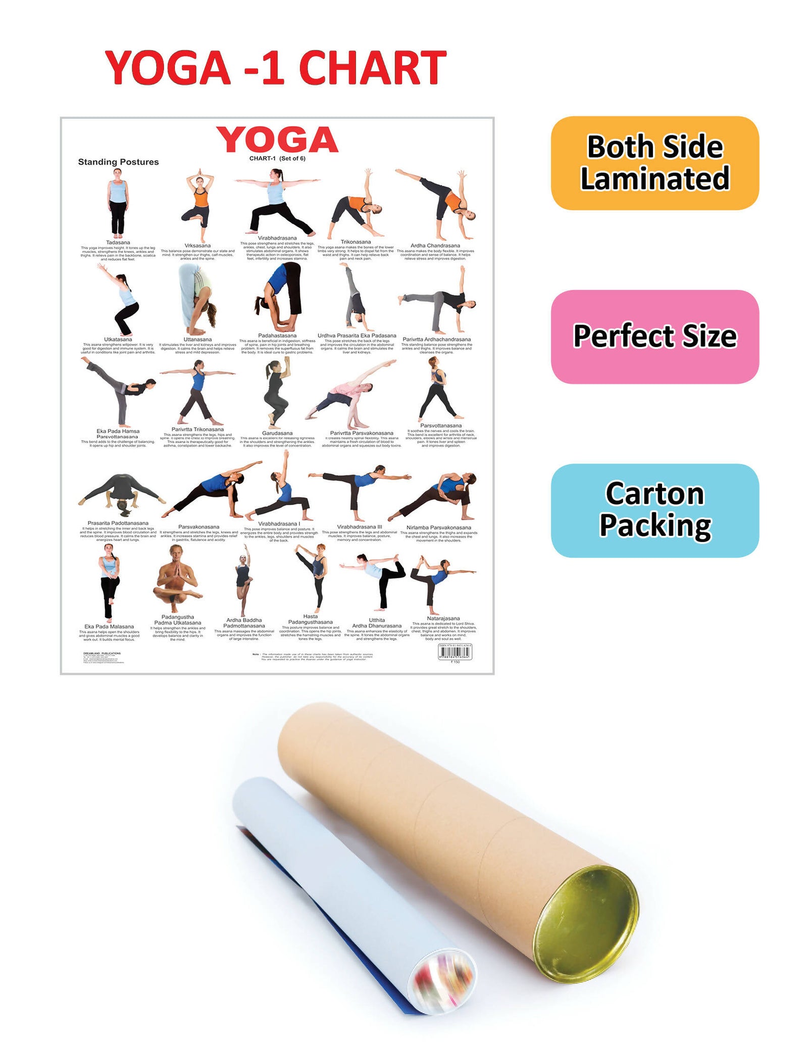 Yoga Chart - 1 : Reference Educational Wall Chart by Dreamland Publica