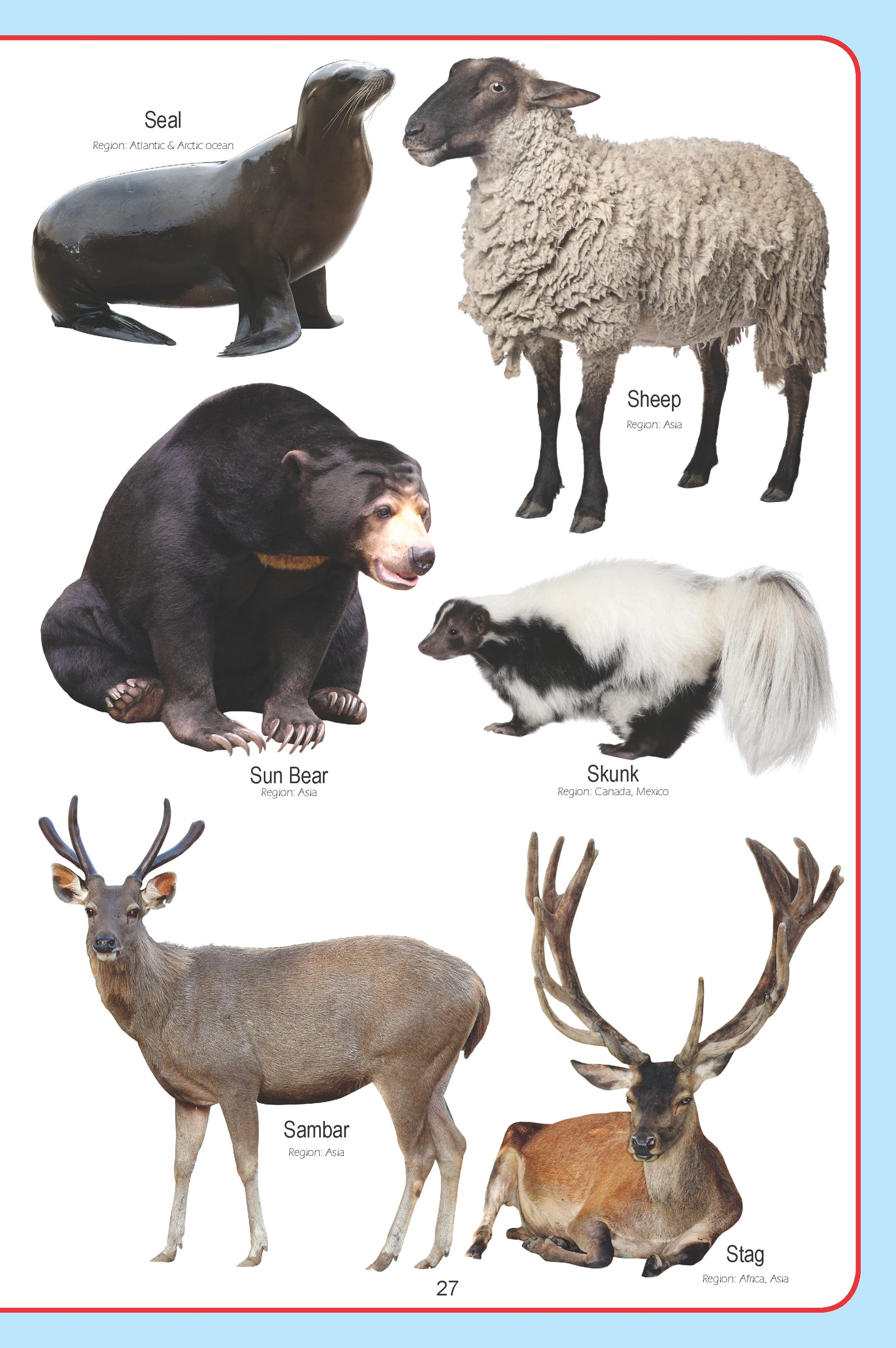 JoGenii |My Jumbo Animal Pictionary | Dreamland Publications